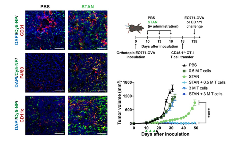 PUBLICATIONS – WILSON LAB